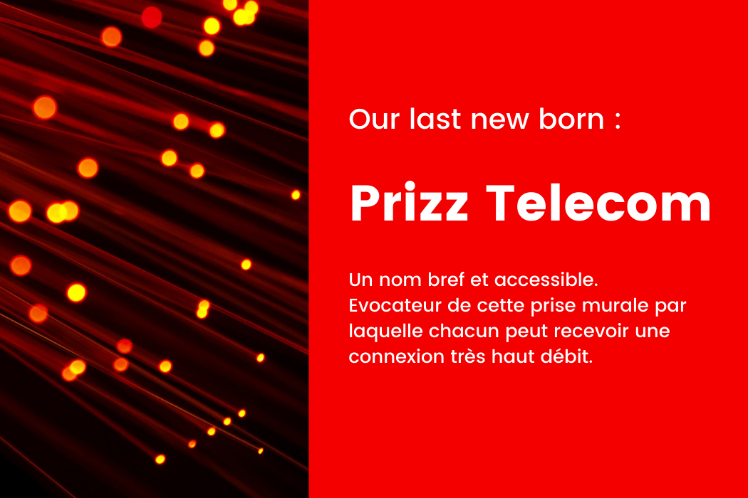 Prizz Telecom - Agence de Naming Nomen